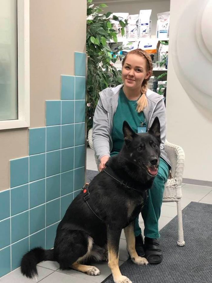 Henkilökunta - Kuopion Eläinlääkärikeskus