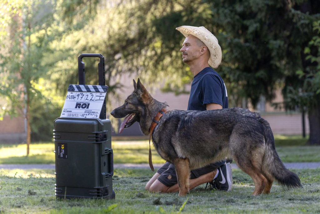 Tipi alias Susikoira Roi - Kuopion Eläinlääkärikeskus